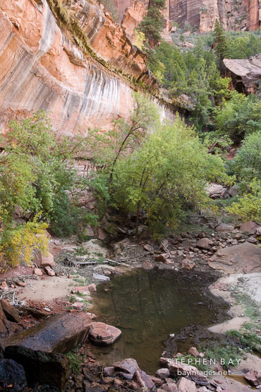 Photo: Lower Emerald Pool in October. Zion NP, Utah.