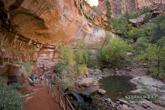 Photo: Lower Emerald Pool. Zion NP, Utah.