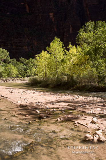 Photo: River flowing through the Temple of Sinawava. Zion NP, Utah.